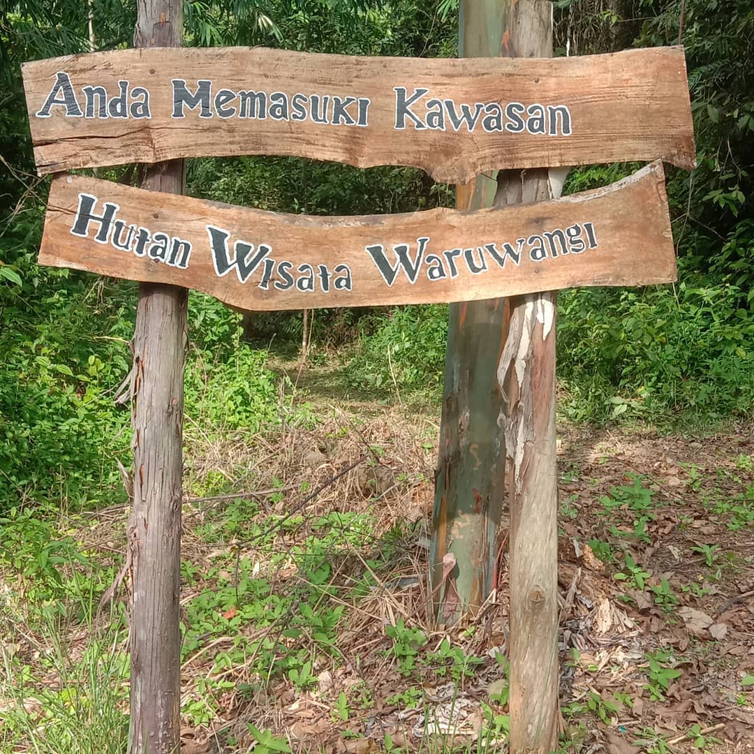 Bukit Waruwangi Banten, Harga Tiket & Wahana April 2025 - Travelandword