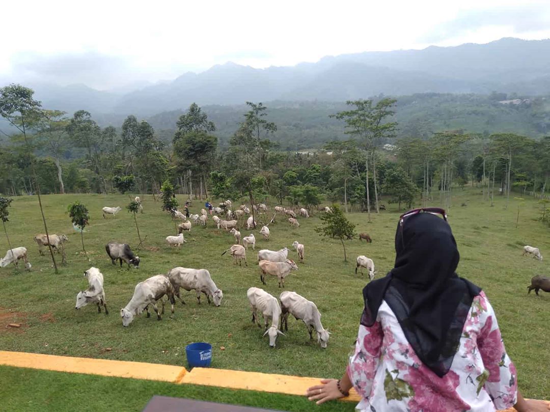 Bukit Waruwangi Banten, Harga Tiket & Wahana April 2025 - Travelandword