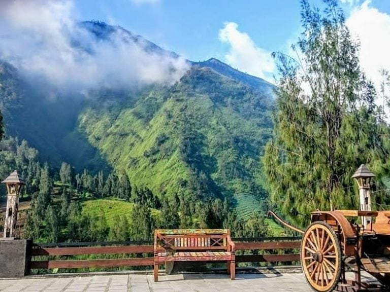 Lokasi, Harga Kamar Dan Menu Bawangan Bromo Hotel & Resto - Travelandword