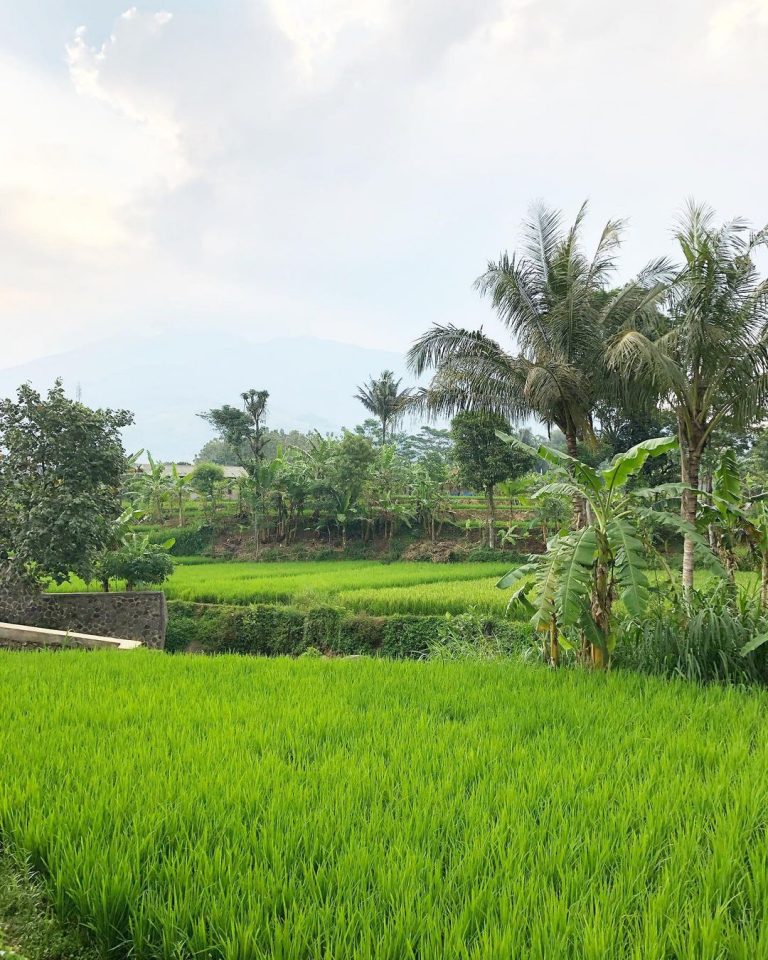 5G Resort Cijeruk Bogor, Review Harga Dan Lokasi - Travelandword