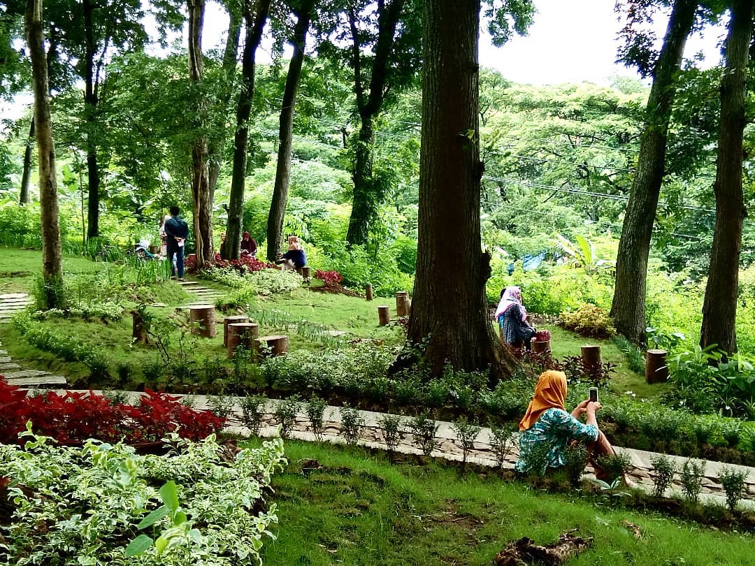 Silayur Park Ngaliyan Semarang, Info HTM, Menu & Lokasi - Travelandword