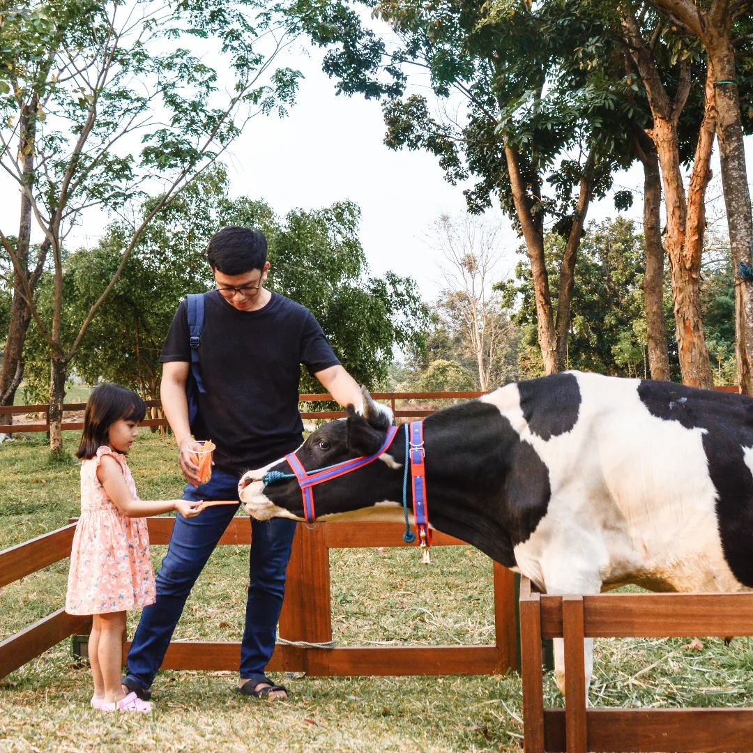 Taman K Land Pandaan, Ini Harga Tiket Masuk & Water Slide - Travelandword